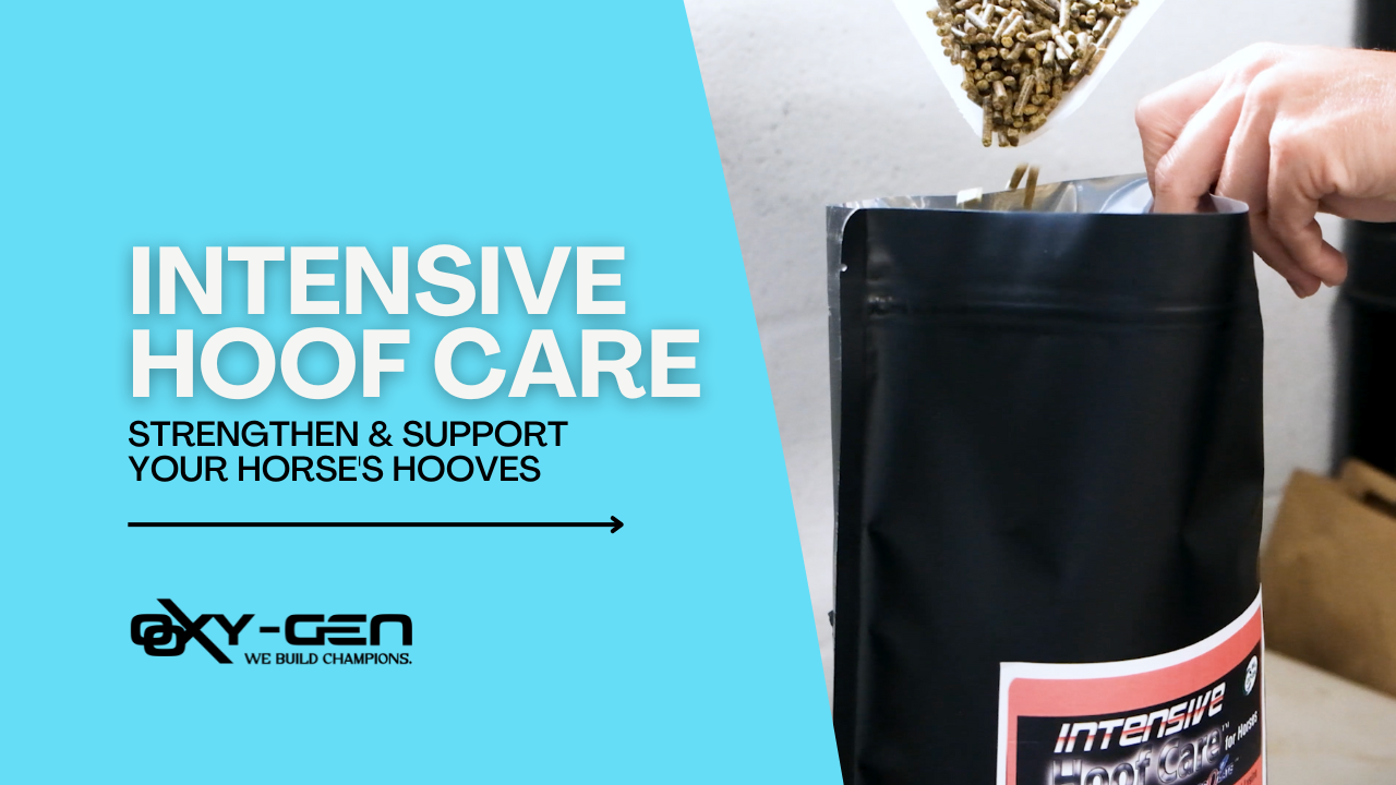 Nurturing Your Horse’s Hoof Health with Intensive Hoof Care™ – Oxy-Gen ...